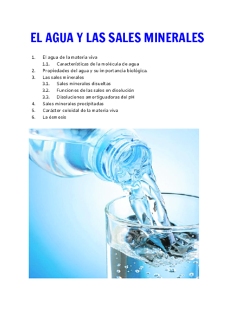 El-agua-y-las-sales-minerales.pdf