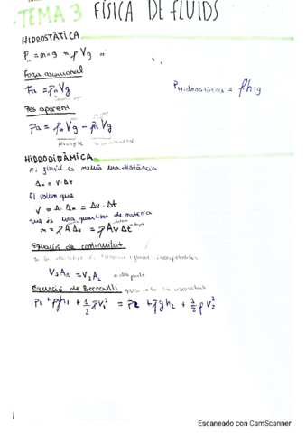 tema-3-Fisica-de-fluids.pdf