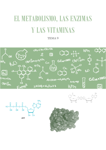 El-metabolismo-las-enzimas-y-las-vitaminas-Tema-9.pdf