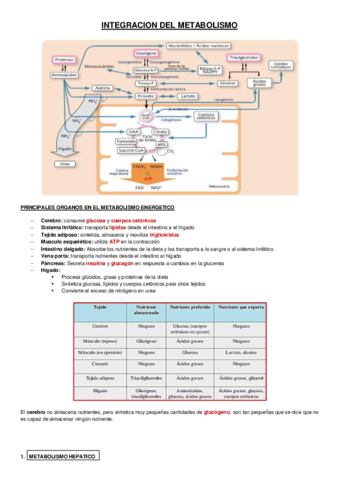 INTEGRACION-DEL-METABOLISMO.pdf