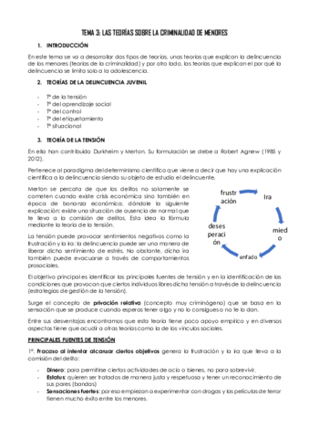TEMA-3-MENORES-TERMINADO.pdf