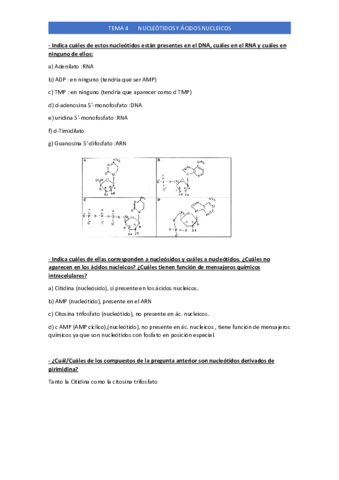 TEMA-4-NUCLEOTIDOS-Y-AC.pdf