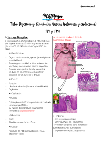 Tp9-y-Tp10-Tubo-digestivo-y-Glandulas-Anexas.pdf