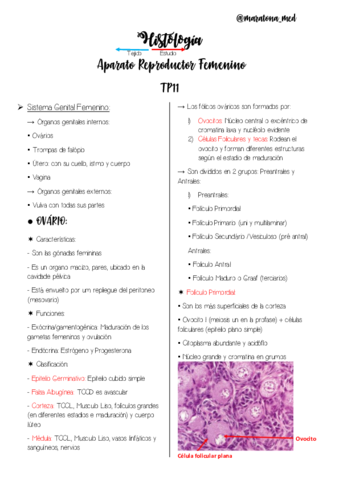 TP11-Aparato-Reproductor-Feminino.pdf