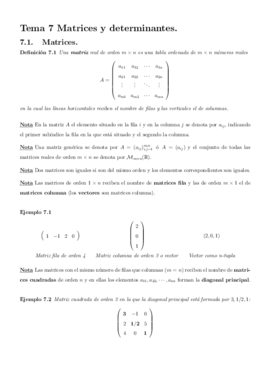 TEMA 7 Matrices.pdf