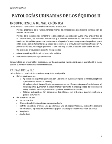 Patologias-urinarias-de-los-equidos-II.pdf
