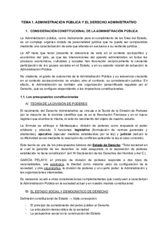 TEMA-1-ADMIN.pdf