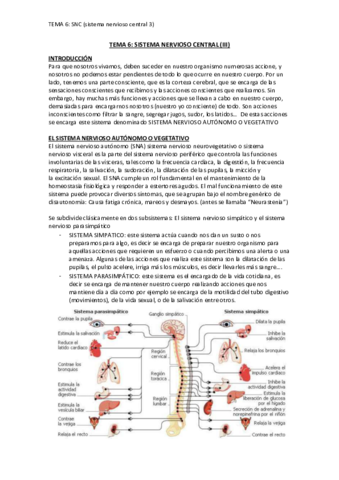TEMA-6-SNC-III.pdf