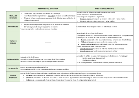 4-fibras-nerviosas-perifericas.pdf