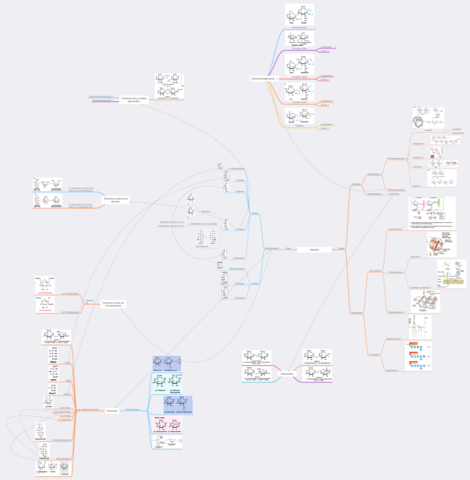 bioquimica-2-mindmap.pdf