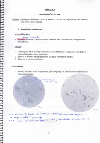 Practicas-COMPLETAS-y-EXPLICADAS-biologia.pdf