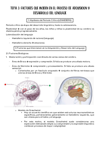 Tema-3-HHLL.pdf