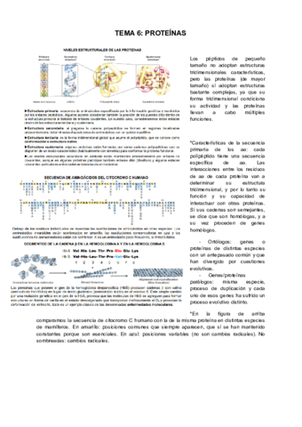 TEMA-6-PROTEINAS.pdf