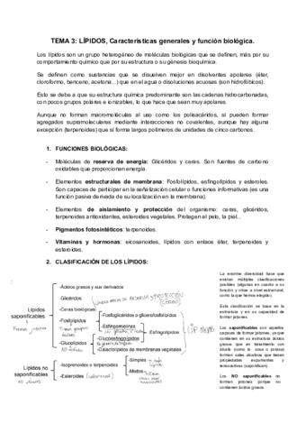 TEMA-3-LIPIDOS.pdf