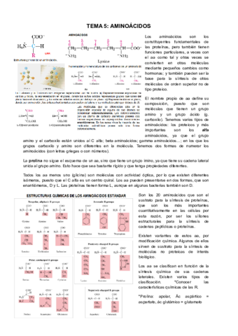 TEMA-5-AMINOACIDOS.pdf