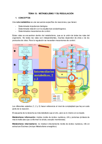 TEMA-13-METABOLISMO-Y-SU-REGULACION.pdf