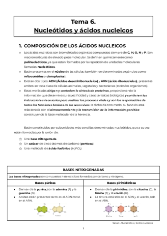 U6-Nucleotidos-y-acidos-nucleicos-2.pdf