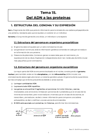 U15-Del-ADN-a-las-proteinas-1.pdf