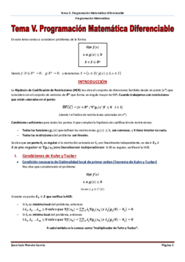 Tema V. Programación Matemática Diferenciable.pdf