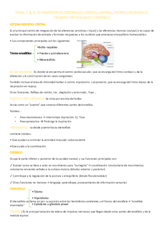 TEMA-7-8-9-10-HEMISFERIOS-CEREBRALES-MEDULA-ESPINAL-TRONCO-ENCEFALICO-TALAMO-HIPOTALAMO-Y ...