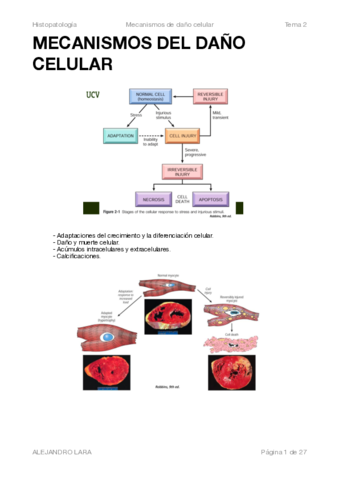 Mecanismos De Dano Celular Pdf