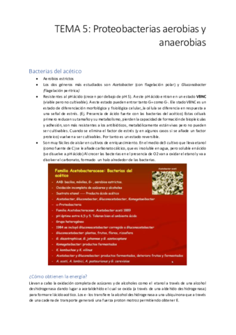 TEMA-5-COMPLETO.pdf