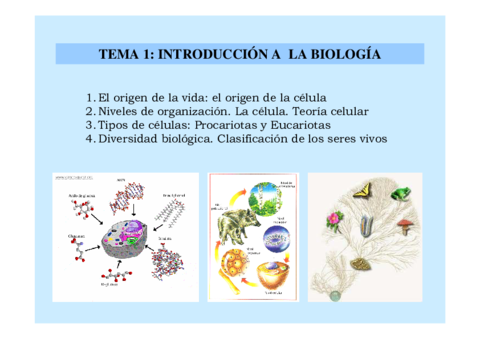 Tema-1-INTRODUCCION-A-LA-BIOLOGIA.pdf