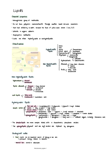 Lipids.pdf