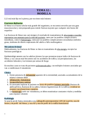 TEMA-12-rodilla.pdf