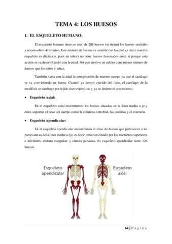 LOS-HUESOS.pdf