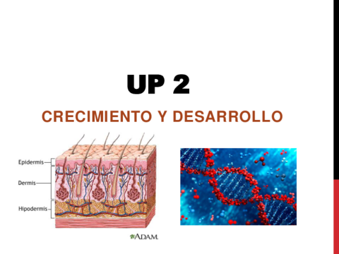 UP-2-CyD.pdf
