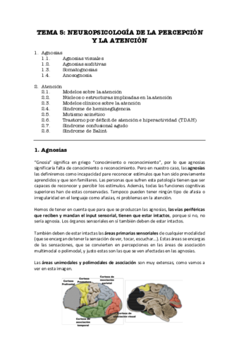 TEMA-5-NEURO.pdf