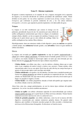 Tema 15 - Sistema respiratorio.pdf