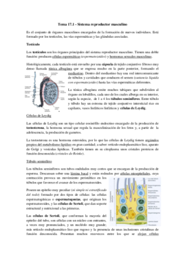 Tema 17 - Sistema reproductor.pdf