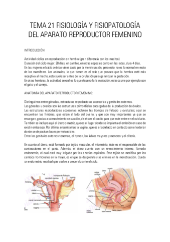 Tema-21-2021-completo.pdf