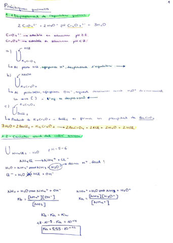 Apunts-Examen-Practiques.pdf