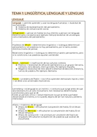 Tema 1 Linguistica Lenguaje Y Lenguas Pdf