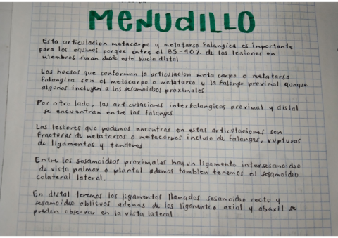 MENUDILLO.pdf