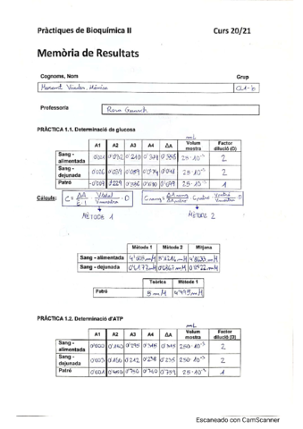 Memoria-practica-BQII.pdf