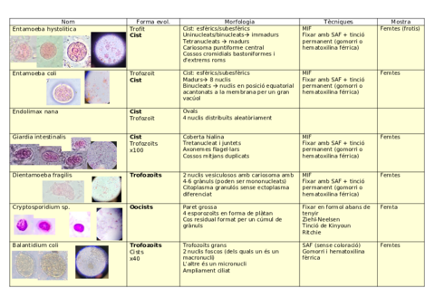 practiques-parasito-ari.pdf