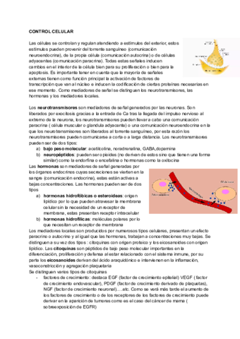CONTROL-CELULAR-1.pdf