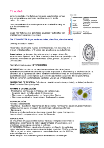 TEMA-ALGAS.pdf