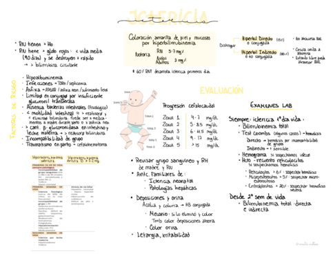 Ictericia-neonatal.pdf