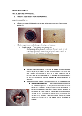 Tema-8B.pdf