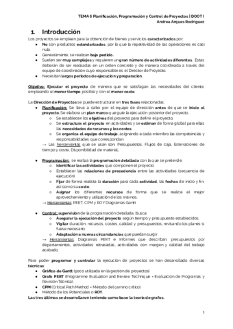 T6-Planificacion-Programacion-y-Control-de-Proyectos-DOOT-I.pdf