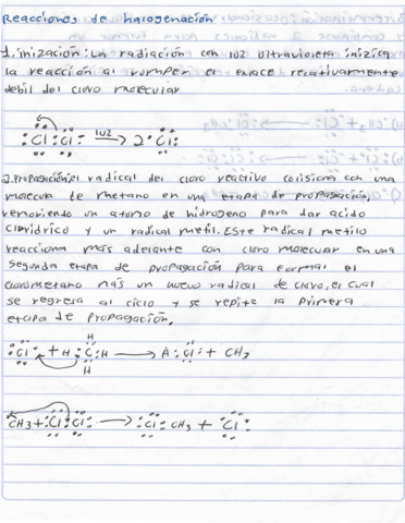 Reacciones-de-halogenacion.pdf