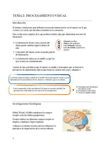 TEMA-2-PROCESAMIENTO-VISUAL-.pdf