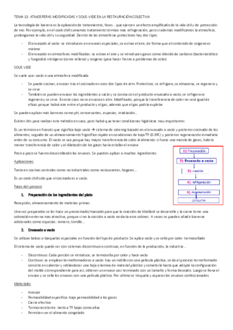Tema 13 Pdf