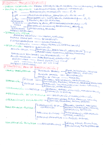 Esquema estrategias para la conservacion y transformacion.pdf