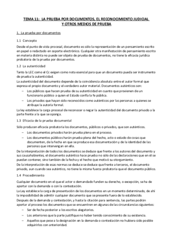 Tema 11. LA PRUEBA POR DOCUMENTOS EL RECONOCIMIENTO JUDICIAL Y OTROS MEDIOS DE PRUEBA.pdf